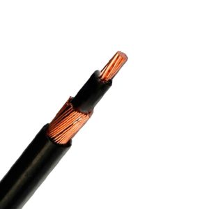 Cable Concentrico 2X10 – Elecsa